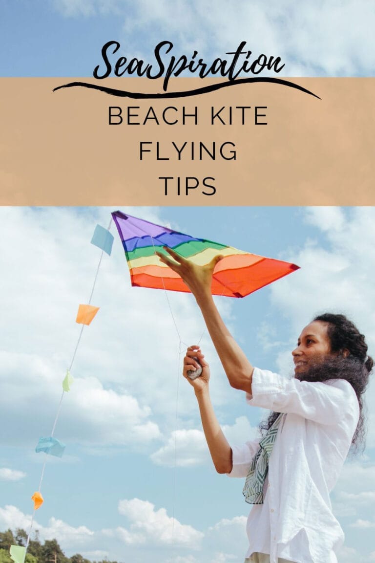 How to Fly a Kite at the Beach: Complete Guide With Tips